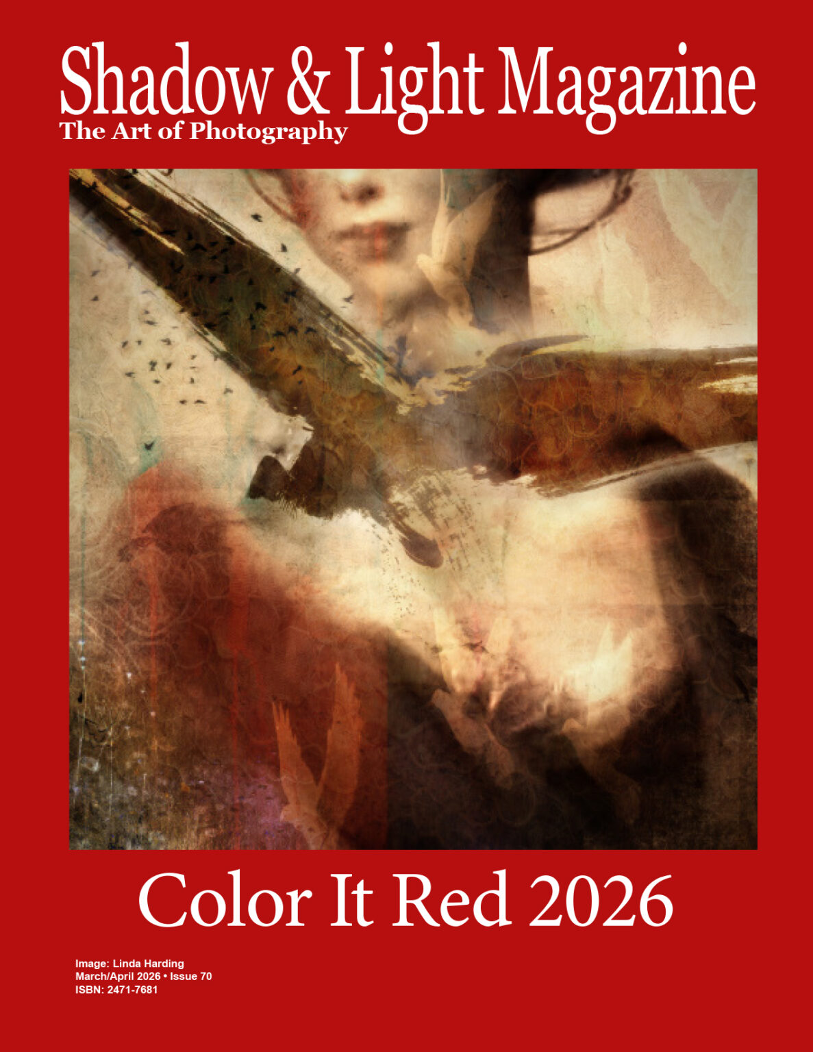 In this issue...